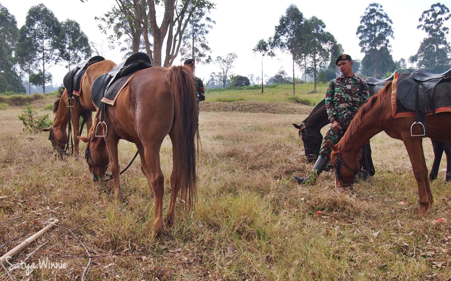 Sensasi Berkuda Tidak Biasa di Kavaleri Bandung — Satya Winnie