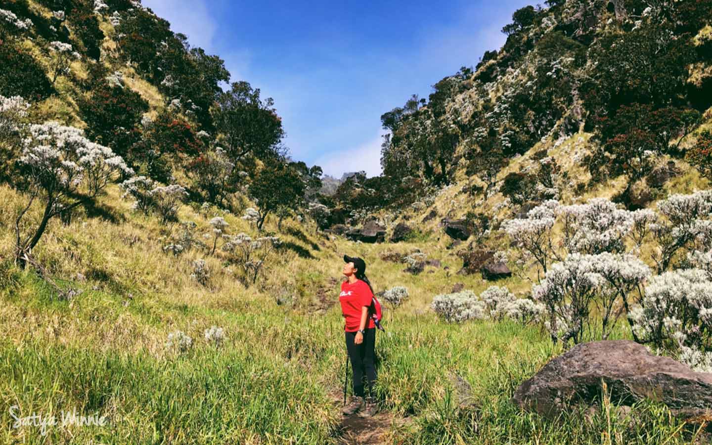 Mendaki Gunung Sumbing via Banaran 3 Hari 2 Malam (East Route Sumbing ...